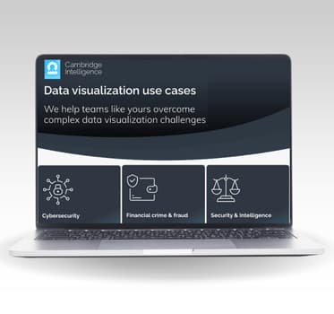 Data Visualization Use Cases | How Customers Use Our Toolkits
